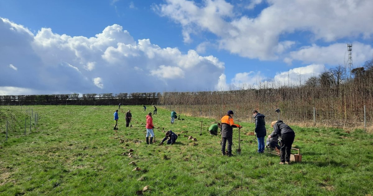 Pflanzaktion im Gemeindewald | Startseite